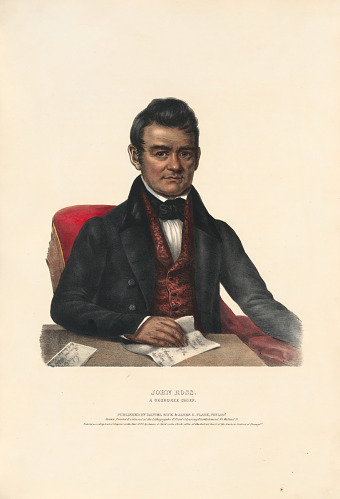 Images and Pictures – Beautiful Losers of History